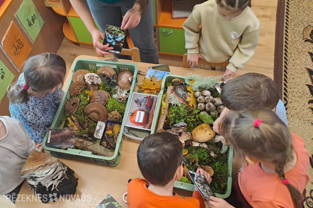 Viļānu pilsētas pirmsskolas izglītības iestādes bērni iepazīst sēņu ...